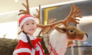 Petits jeux sur le thèmes des rennes de Noël