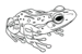 Coloriage crapaud : 30 dessins à imprimer gratuitement