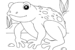 Coloriage crapaud : 30 dessins à imprimer gratuitement